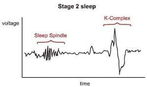 Understanding Sleep Stages and How Snoring Affects Them